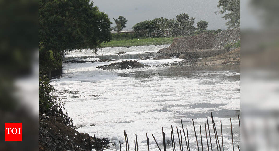 Activists file police plaint against lake encroachment | Bengaluru News ...