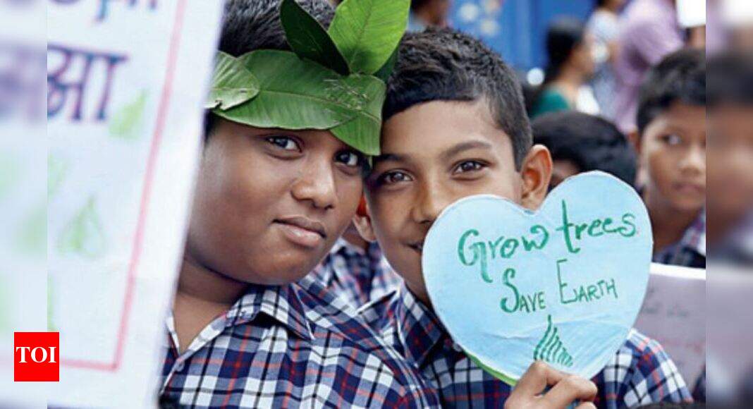 Choosing an ideal tree is the key | Thiruvananthapuram News - Times of ...