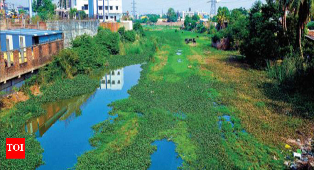 After 3,000cr, Cooum concretised waterway | Chennai News - Times of India