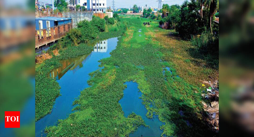 After 3,000cr, Cooum concretised waterway | Chennai News - Times of India