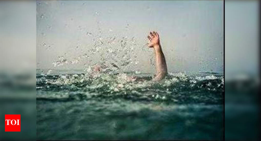 Woman drowns in lake as her sons watch | Chennai News - Times of India