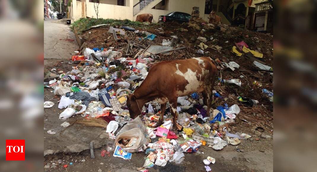 Filthy garbage not cleared from 10 days - Times of India