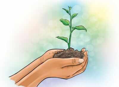 Back to roots: Uttar Pradesh government to plant 6.5 crore Vedic trees ...