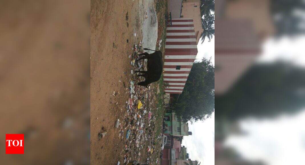 Garbage next to the temple - Times of India