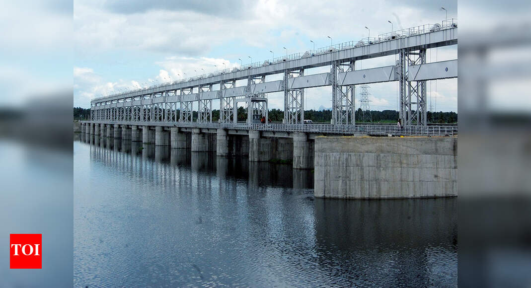 Narrow canals block Ranjit Sagar Dam's power generation | Amritsar News ...