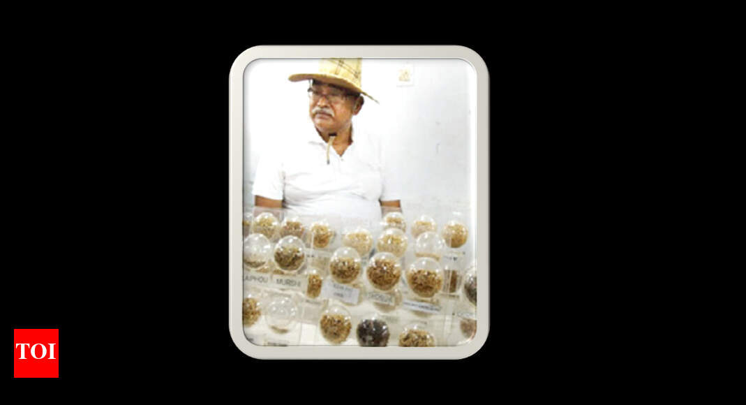63-year-old from Manipur finds 165 types of wild rice | Chennai News ...