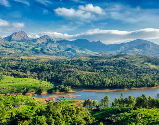 Munnar: Get the Detail of Munnar on TimesTravel
