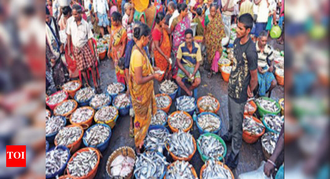 Kasimedu fishers need not shift to new place for now: High court ...