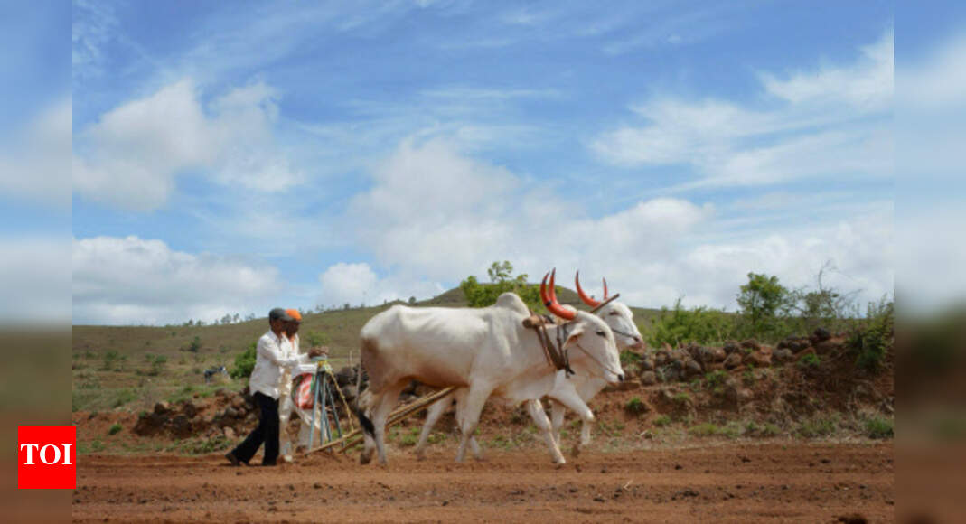 Farmers Protest: UP farmers cry foul over loan waiver | India News ...