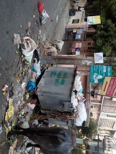 Total Mess - Times of India