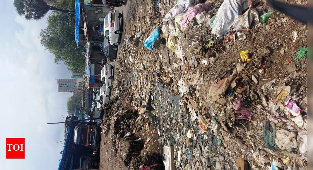 Roadside Converted in to Cesspool/ Garbage dump. - Times of India