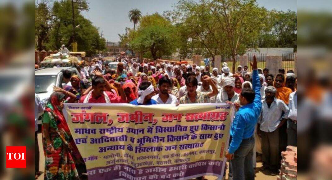 Farmers Protest: Forest dwellers, farmers protest displacement from MP ...