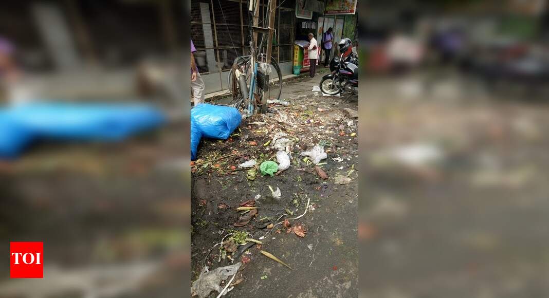 Roadside Garbage disposal - Times of India