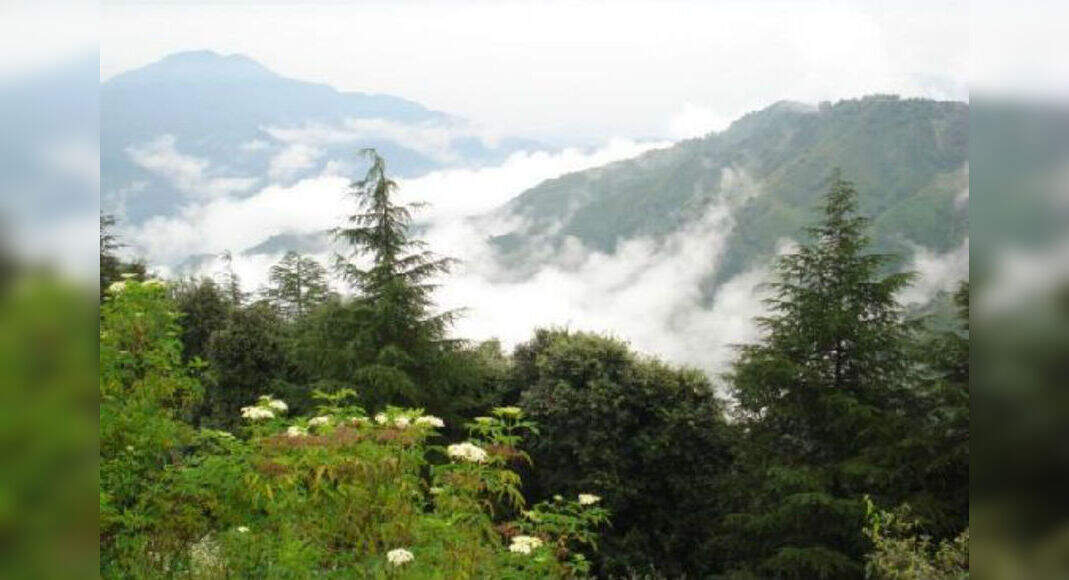 Places To visit in Chail | Tourist Places in Chail | Chail Sightseeing ...
