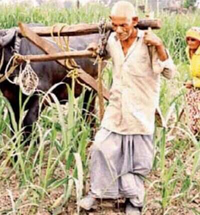 Within 24 hours of picture going viral, disabled farmer gets Aadhaar ...