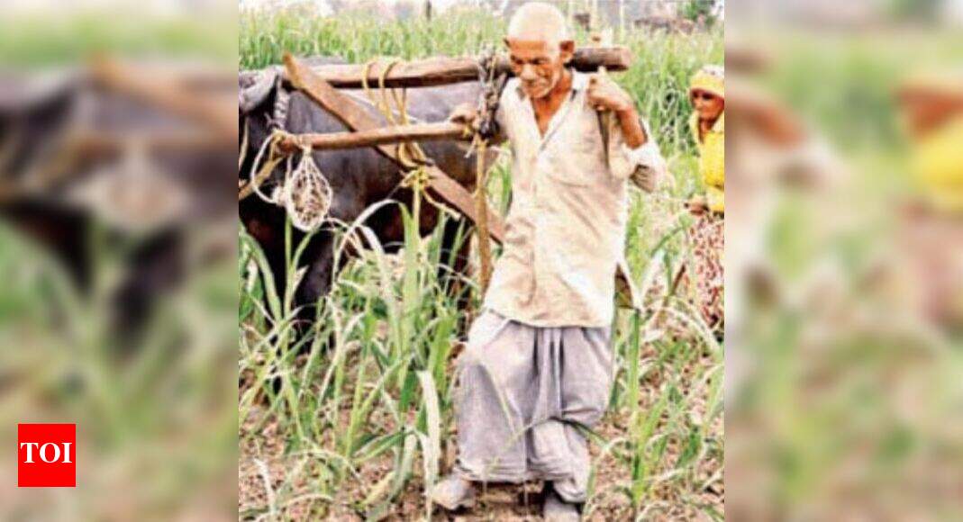 Within 24 hours of picture going viral, disabled farmer gets Aadhaar ...