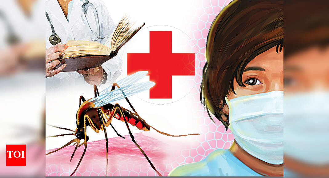Zika Virus: Zika, dengue and chikungunya: Doctors call for multiplex ...