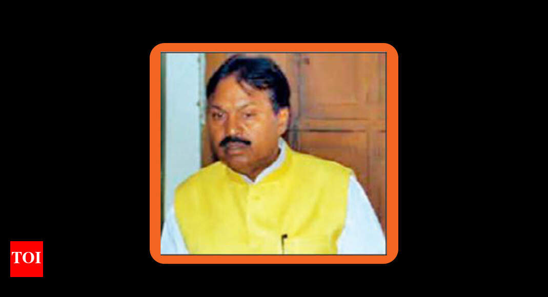 Agra Mayor Indrajeet Arya: Burn Pakistani flag before every festival ...
