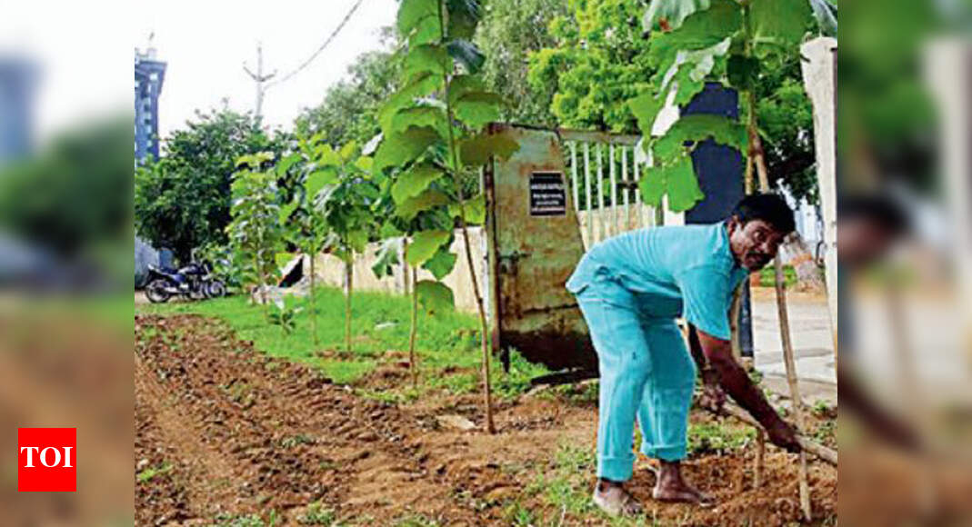 Haritha Haram: 4 life convicts add jewel to Haritha Haram, sustain ...
