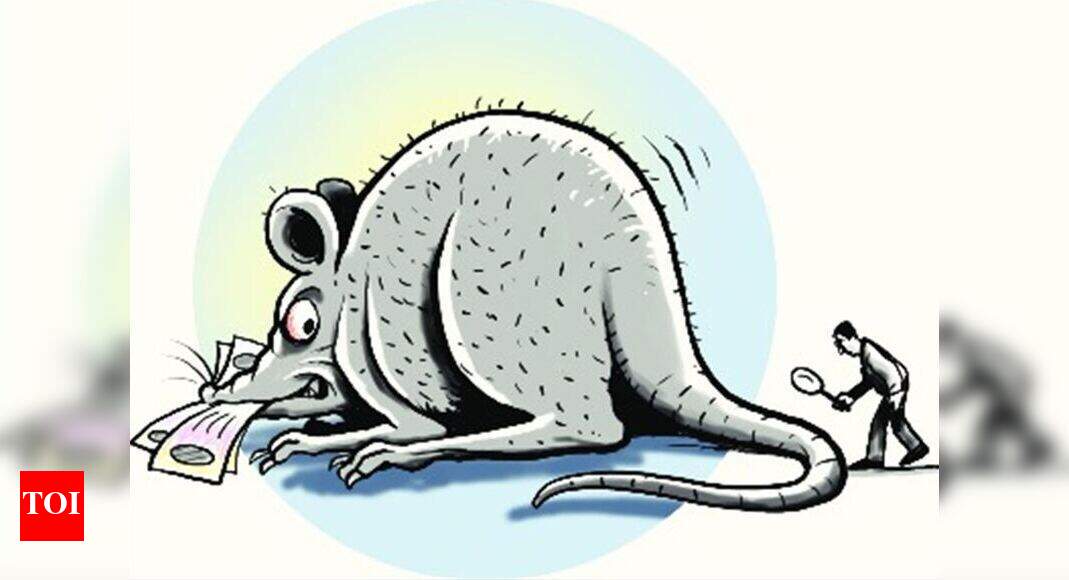 Rats: Files go ‘missing’, CIC smells a rat | India News - Times of India