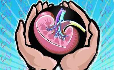 Swap transplant in Chennai: Two men receive kidneys from each other’s ...