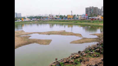 NGO & residents urge state govt to save dying Porur Lake | Chennai News ...