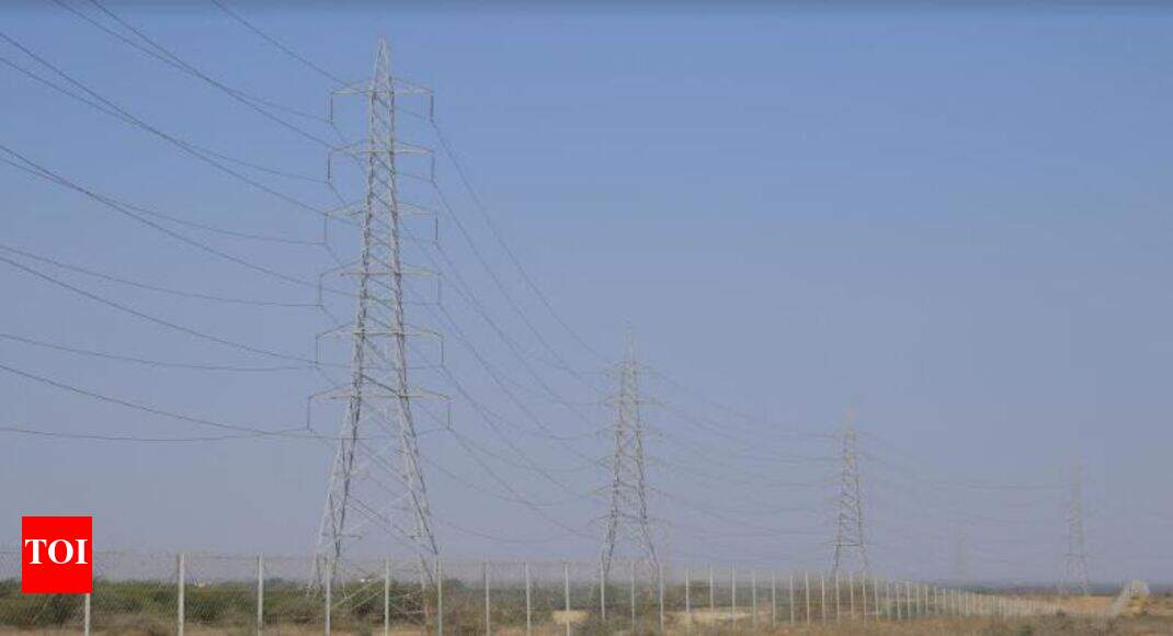 Overhead power line kills one satellite tagged Great Indian Bustard ...
