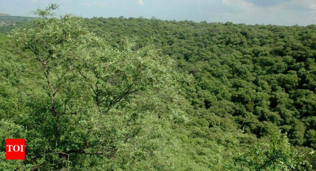 Aravali forest definition still not final, Mangar awaits protected tag ...