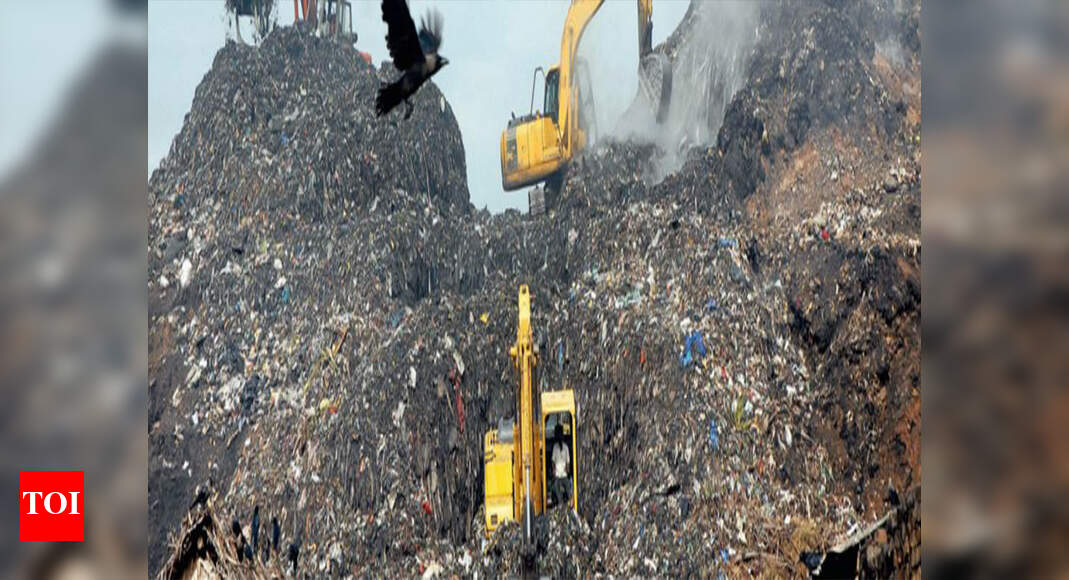 Once a ragpicker, now he feeds 160 families | Delhi News - Times of India