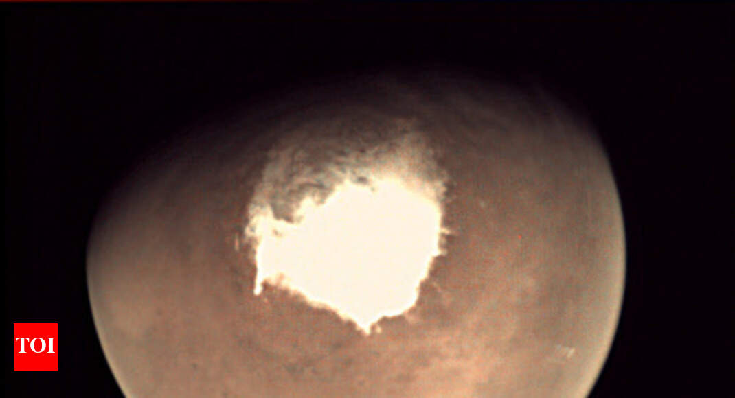 Mars: Astronauts in Mars habitats may face fungal infection risk: Study ...