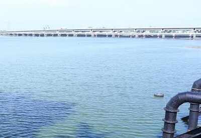 Purified water from Porur lake to quench Chennai’s thirst | Chennai ...