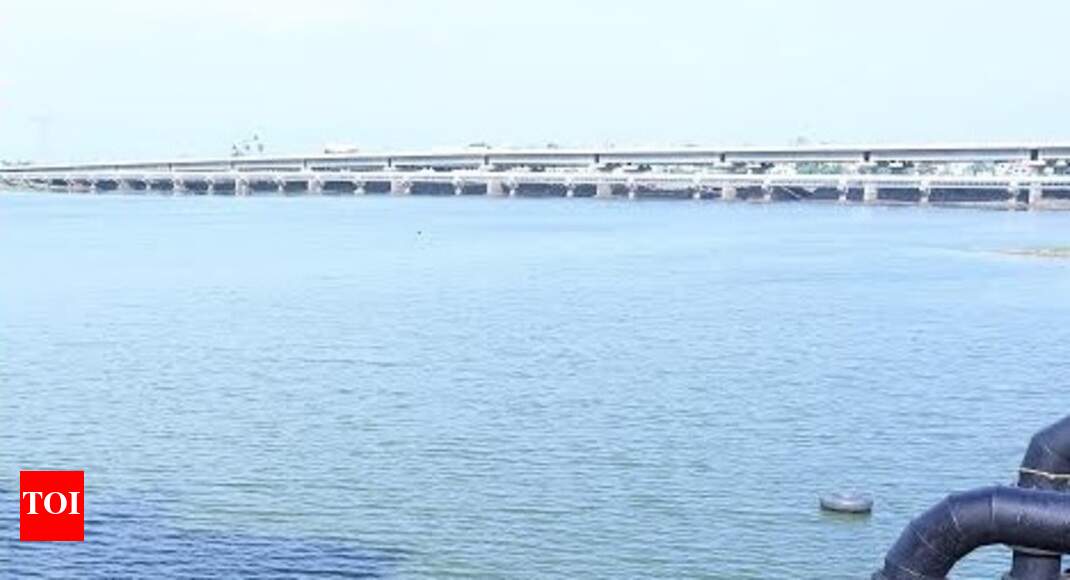Purified water from Porur lake to quench Chennai’s thirst | Chennai ...