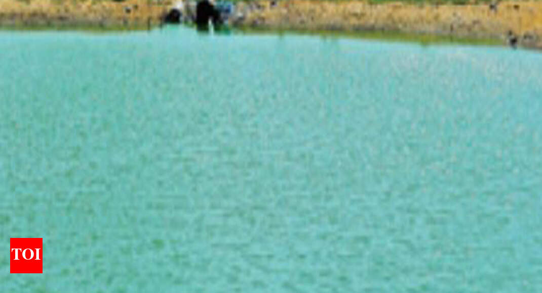 Chennai starts tapping Porur Lake again | Chennai News - Times of India