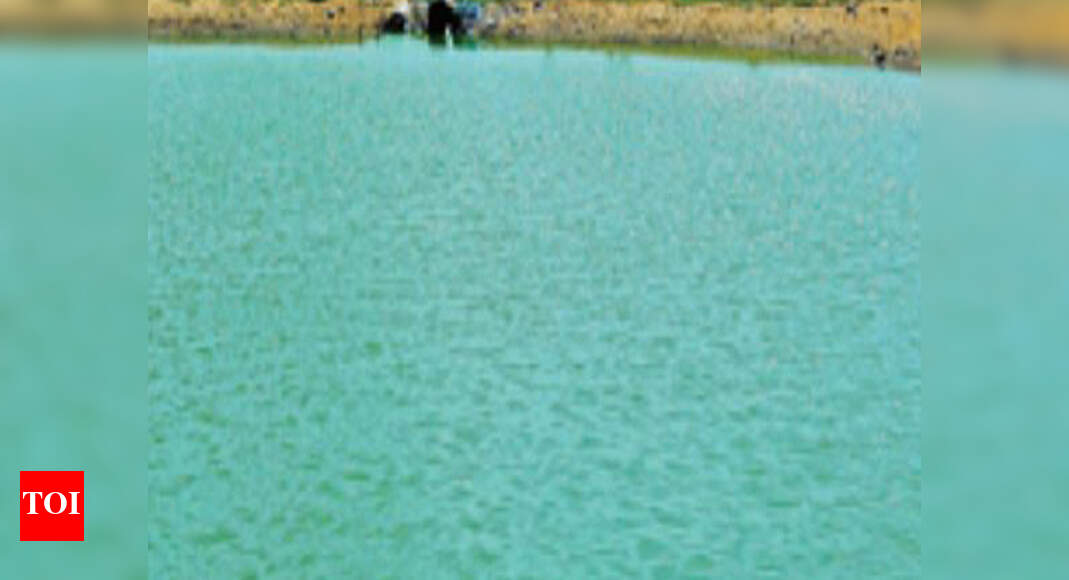 Chennai starts tapping Porur Lake again | Chennai News - Times of India