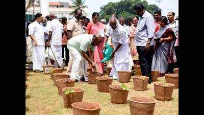 Onam Fest: This Onam, feast on home-grown veggies | Thiruvananthapuram ...
