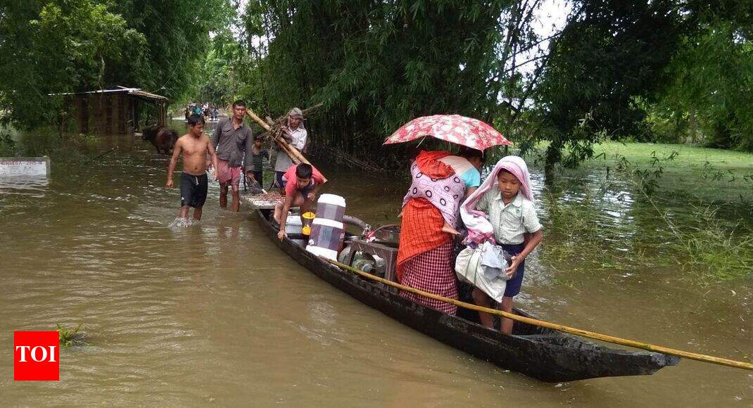 Majuli island residents' twin battle with flood and elephant herd ...