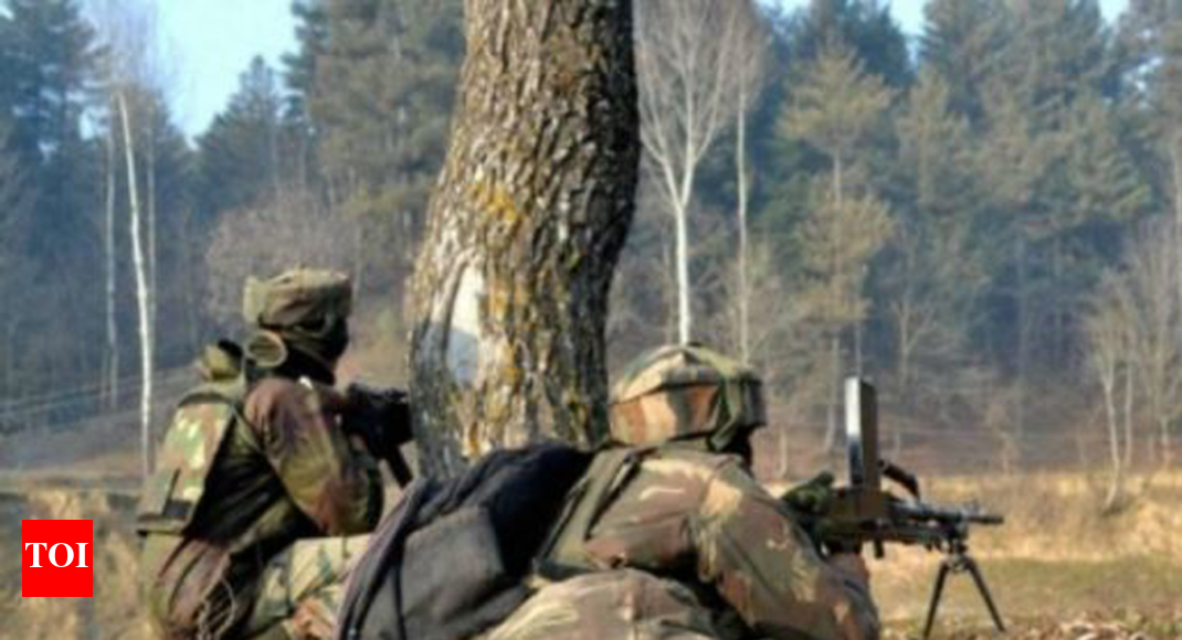 Pakistan troops violate ceasefire along LoC | India News - Times of India Pakistan troops violate ceasefire along LoC | India News - Times of India