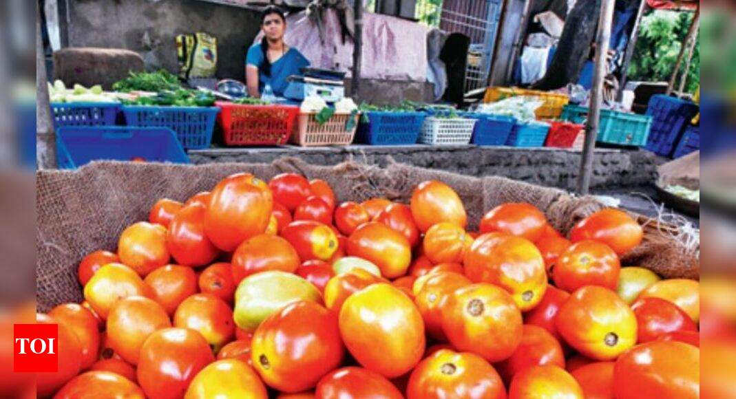 Tomato Prices In Pune: Tomato prices to stay high till September | Pune ...