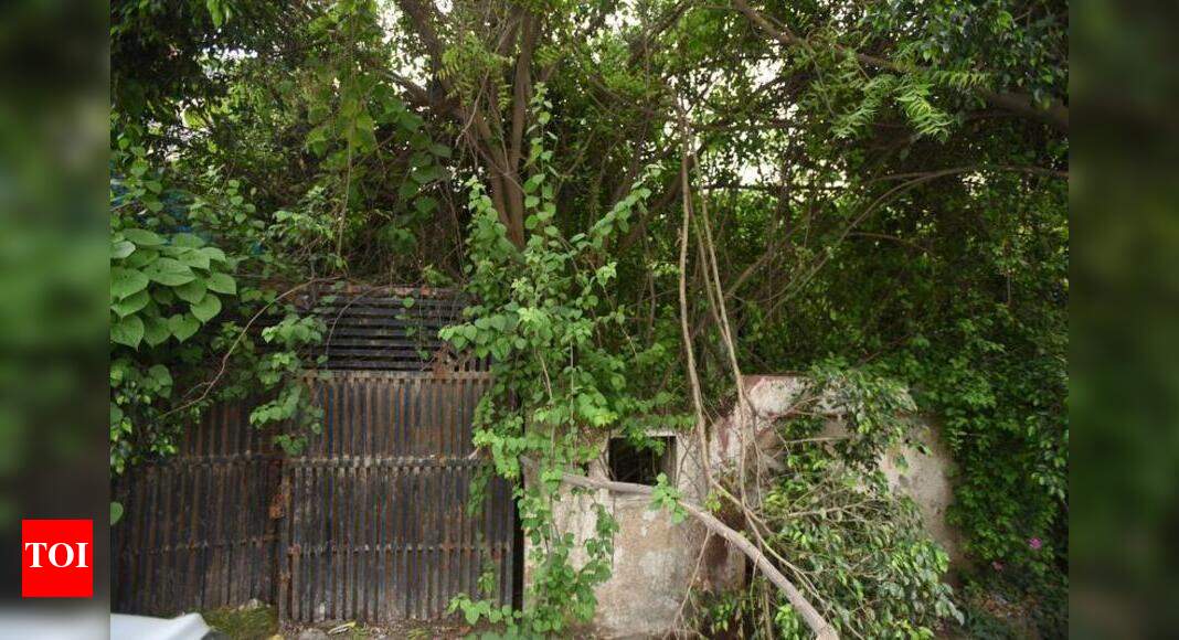 11 years on, horror house keeps Nithari’s wounds raw | Noida News ...