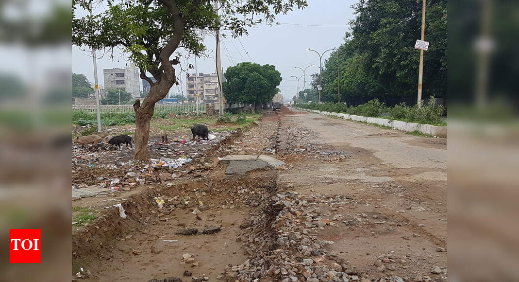 Broken road in Rohini - Times of India
