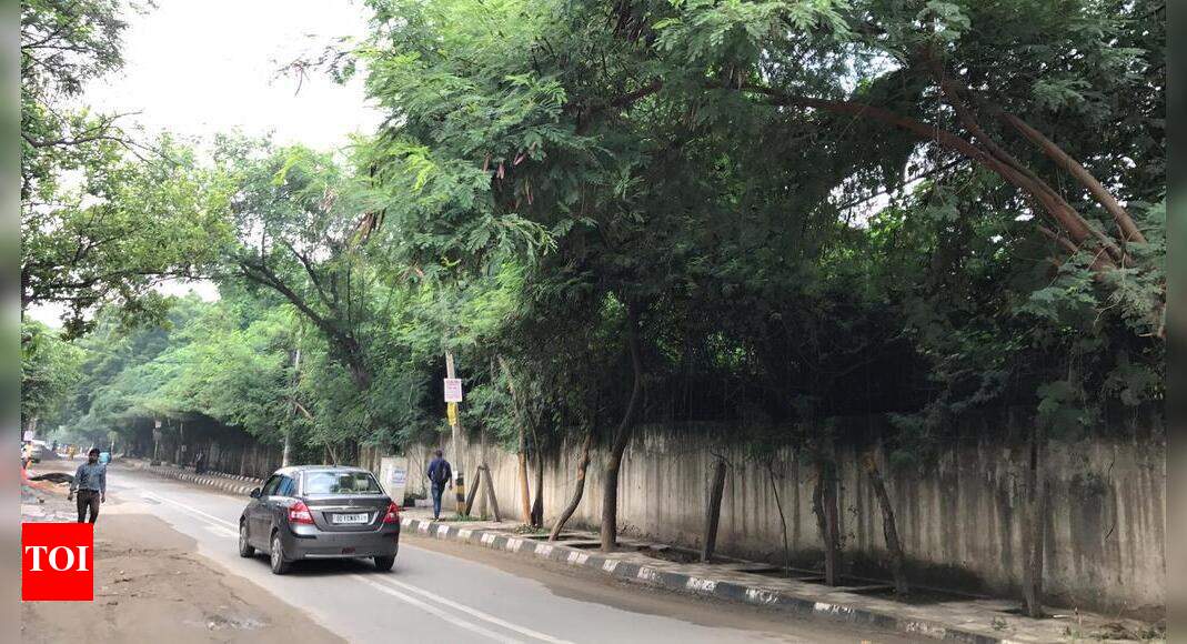 Tree branches tangled with electricity wires - Times of India