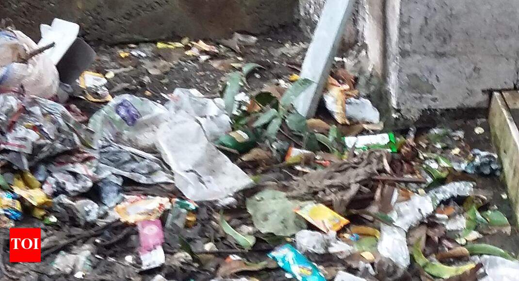 Garbage collection resulting in mosquito breeding - Times of India