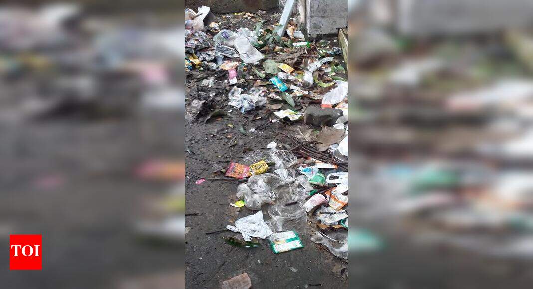 Garbage collection resulting in mosquito breeding - Times of India