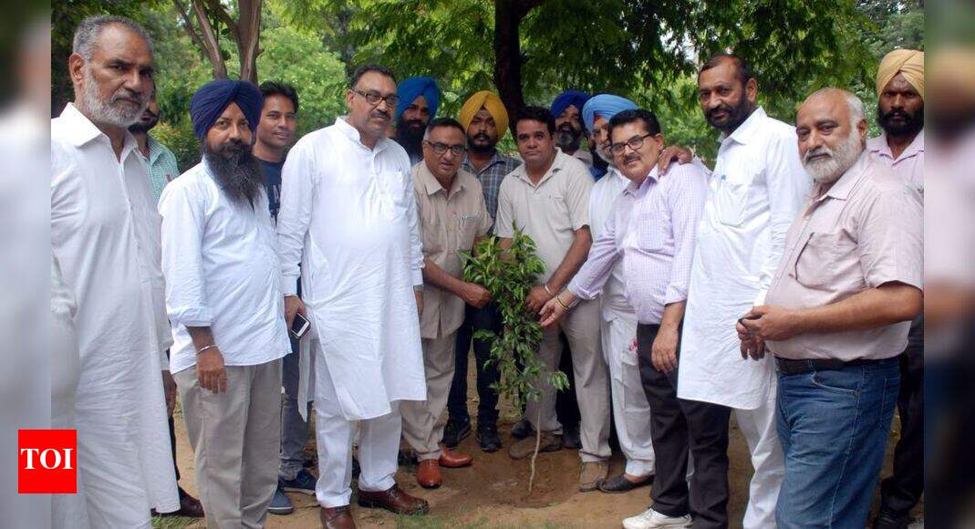 Brampton MP plants tree, attends conservation initiative | Ludhiana ...