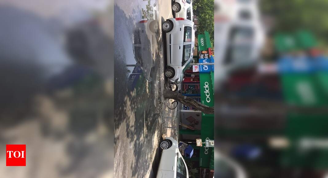 MC apathy raises a stink - Times of India