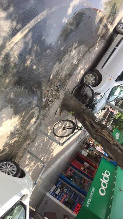 MC apathy raises a stink - Times of India