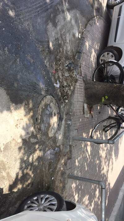 MC apathy raises a stink - Times of India