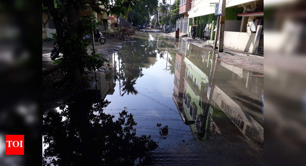 stagnant rain water - Times of India