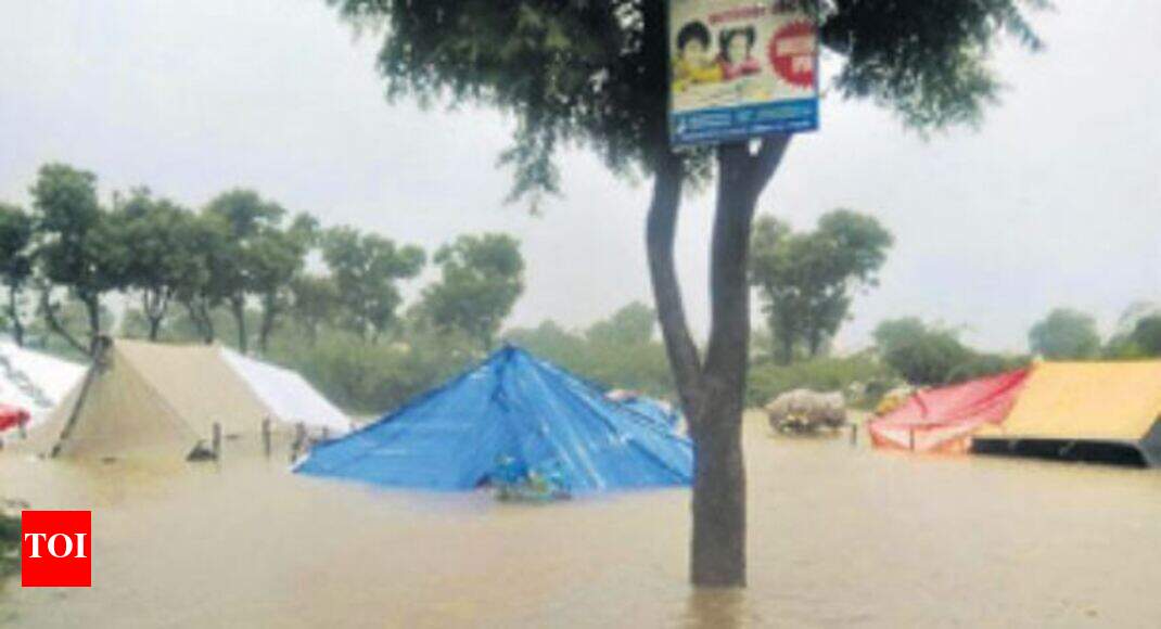 Rajasthan flood: Rajasthan floods kill 800 cows at gaushalas in Jalore ...