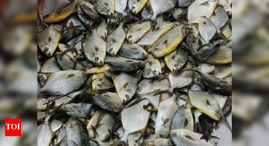 CMFRI gets Rs 9 crore to set up national brood banks for marine fishes ...